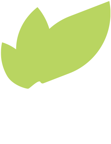 Crop Protection Solutions | Rainbow Agro